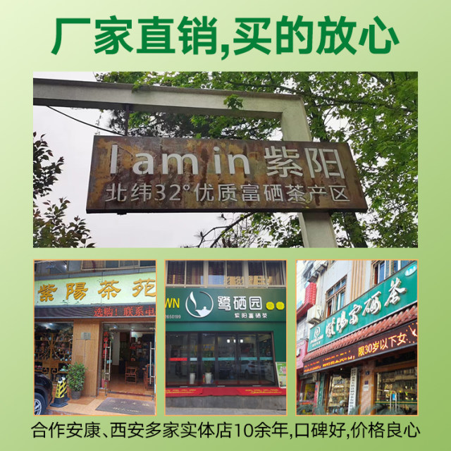 Ziyang Maojian 2025 New Tea Shaanxi Ankang Ziyang Tea Selenium-rich ...