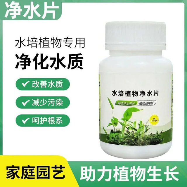 Lotus lotus water purification tablets for germination, water lily ...