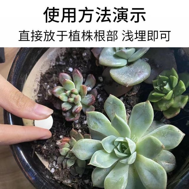 Gardening insect control tablets, saccharified boron fertilizer tablets ...