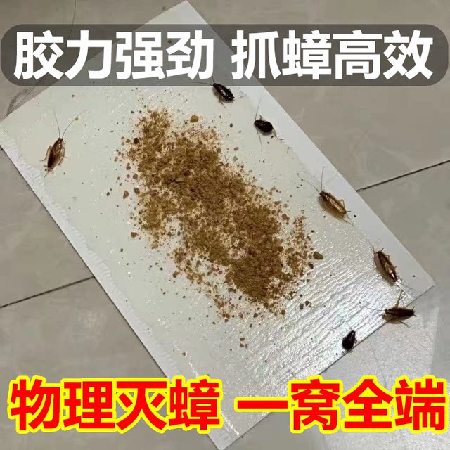 Cockroach paste sticky cockroach medicine Household non -toxic nest all ...