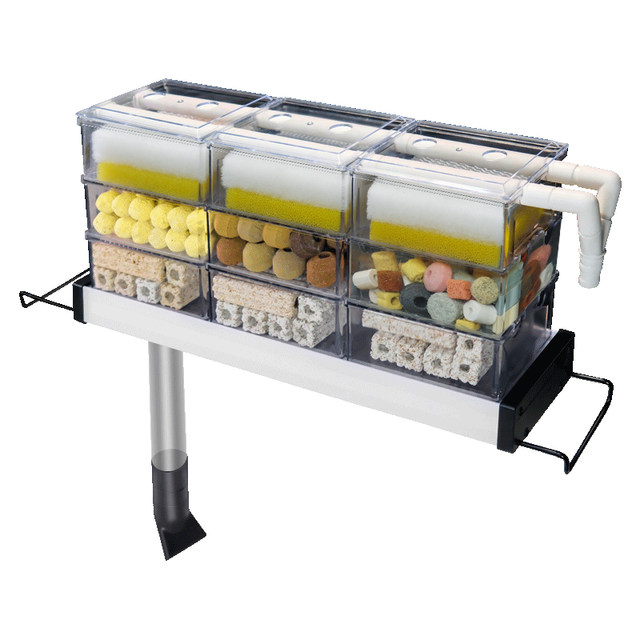 Dripping box Fish Tank Water Puritic Purple Poly Purple Purple Purple ...