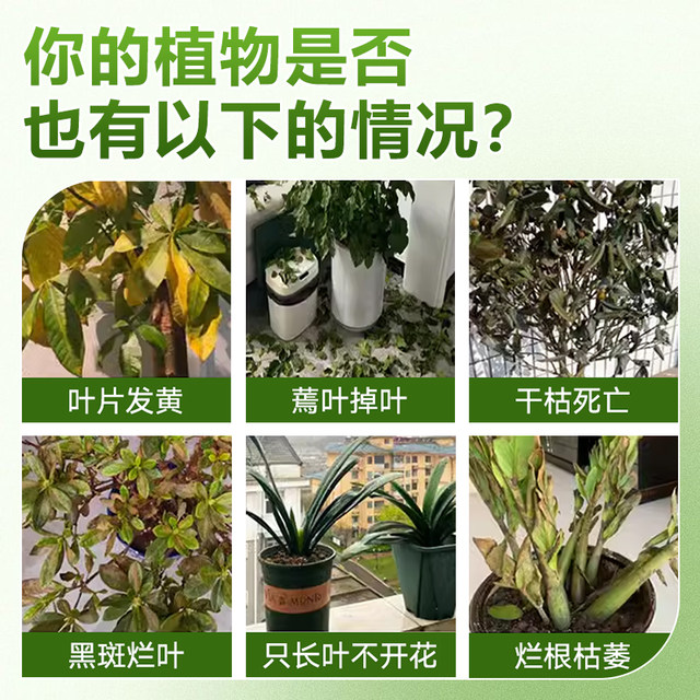 Plant resurrection solution Plant regeneration agent Yellow leaves and ...