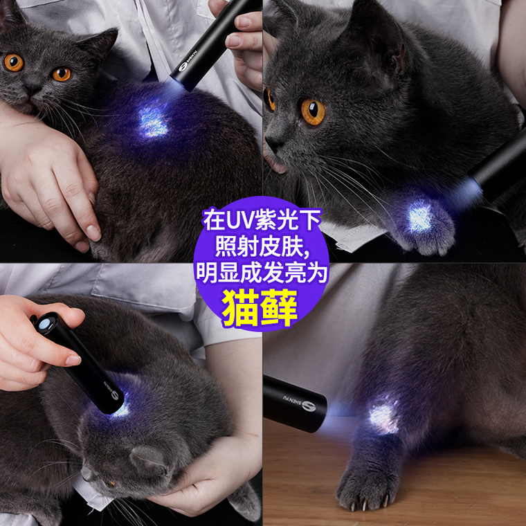 Wood's lamp illuminates cat moss urinary tinea fungus detection flashlight
