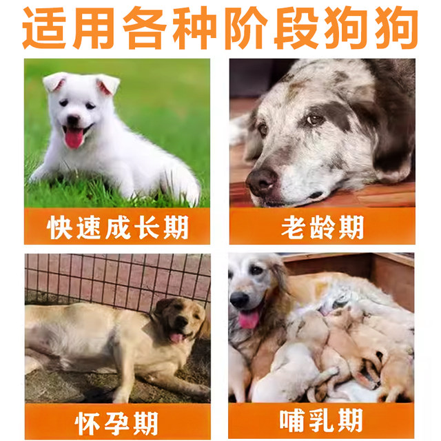 Pica in dogs prevents dogs from eating feces and soil and grass ...
