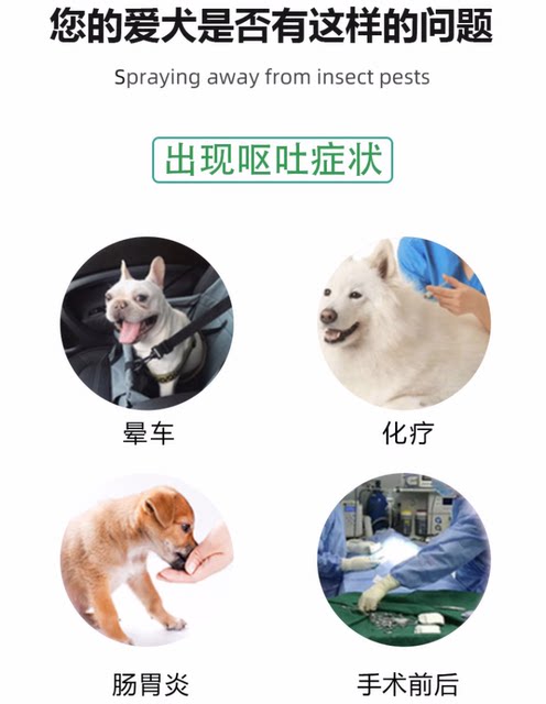 Sairening antiemetics and motion sickness medicine for pet vomiting in ...