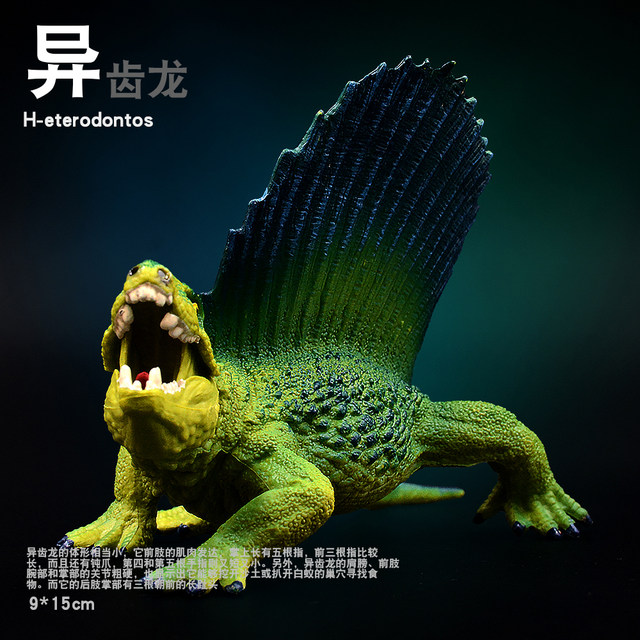 Dinosaur model toy Dimetrodon model open and close mouth ornament gift