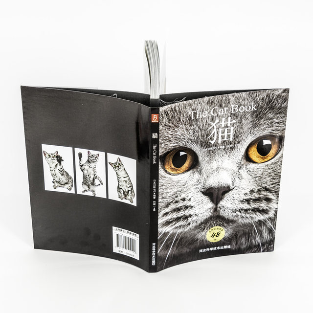 Cat Encyclopedia, Cat Book 48 World Famous Cat Illustrated Cat Book Cat ...