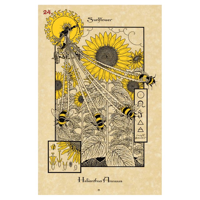 Imported genuine magic plant deities card Magickal Botanical Oracle