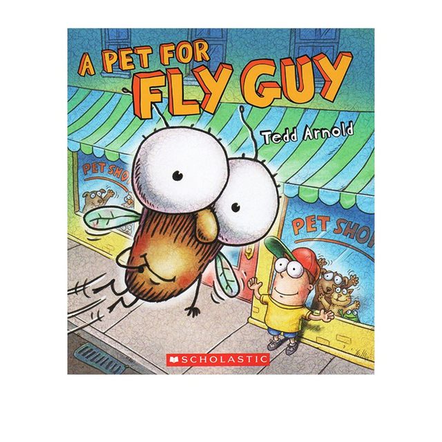 Hi Fly Guy series Noodlehead fly boy co-author Tedd Arnold original ...