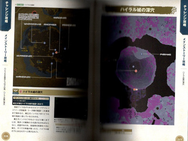 Presale Legend of Zelda Tears of the Kingdom Perfect Guide Book FAMI ...