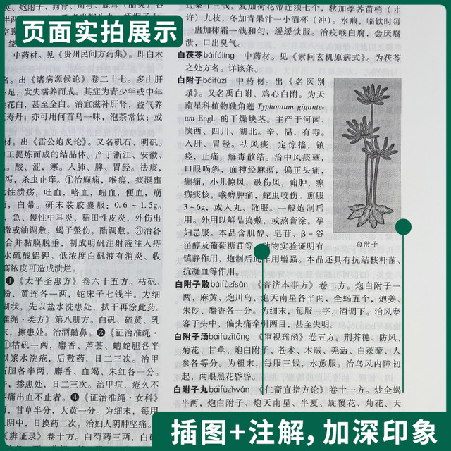 The 3rd version of the new version of the Chinese Medicine Dictionary ...