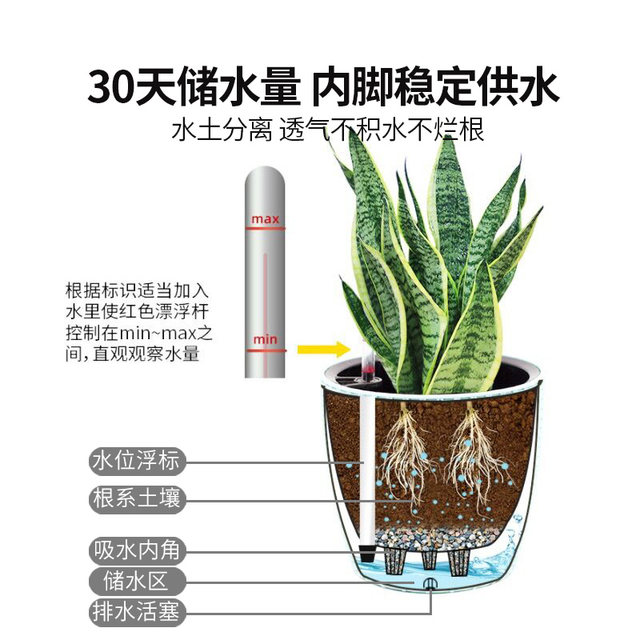 Automatic water-absorbing water storage flower pot for lazy people ...