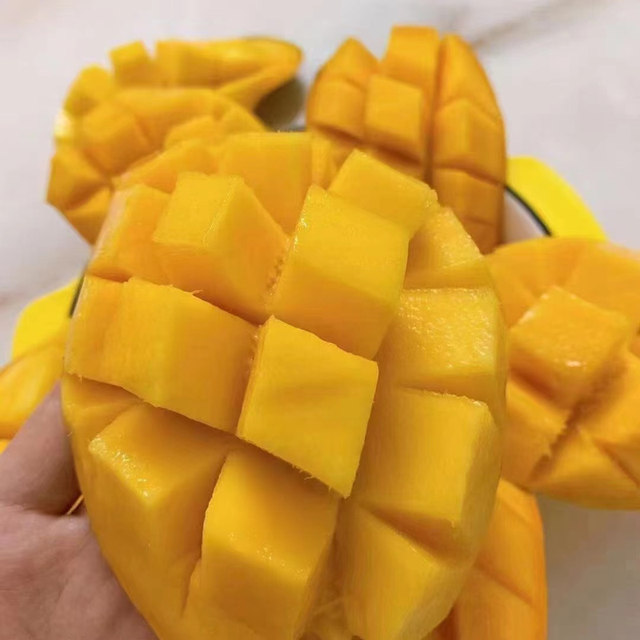 Authentic Hainan Jinhuang Mango Great Fruit Fresh Tropical Fruit Ying ...