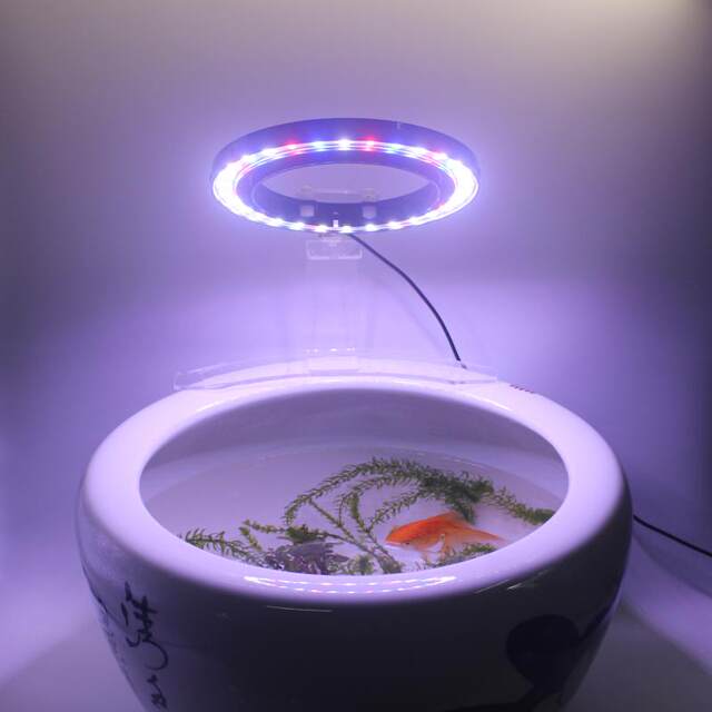 Round ceramic fish tank dedicated LED lighting light fish basin tank ...