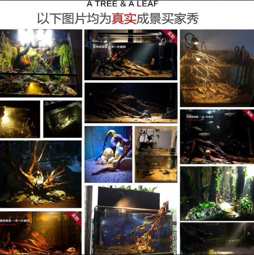 Fish tank spotlight clip fish tank lamp LED light South American tank ...