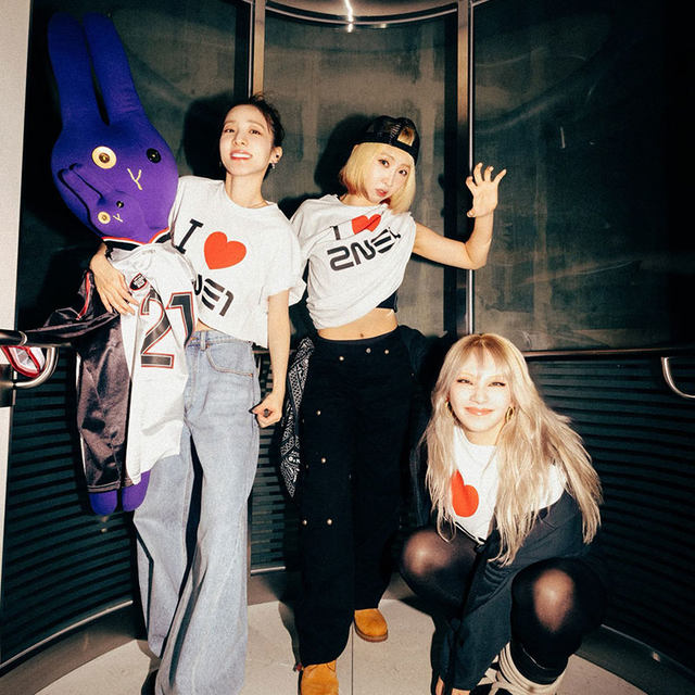 2NE1 Return Concert Peripherals Lee Cailin Park Shan Dora Chun Kong Min ...