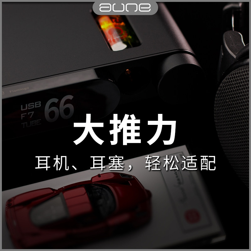 Aune Flamingo Fever Hifi Bluetooth Dac Head Amplifier