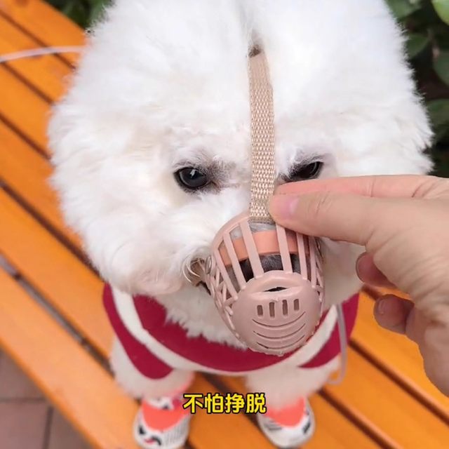 Dog muzzle, anti-biting, anti-barking, special anti-eating mask for ...