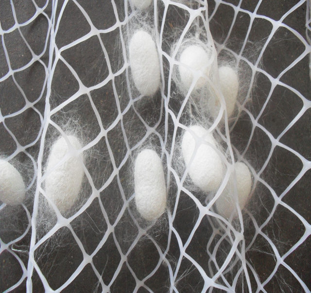 Student Silkworm Raising Set Silkworm Baby Cocoons Net Silkworm Raising ...