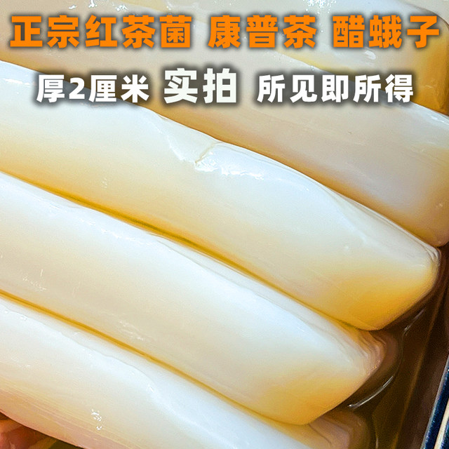 2 cm thick authentic kombucha enzyme mother strain Haibaowei Baomu ...