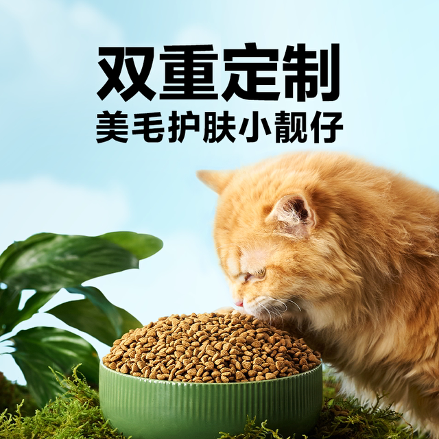 NetEase carefully selects pampering companion cat food for adult cats ...