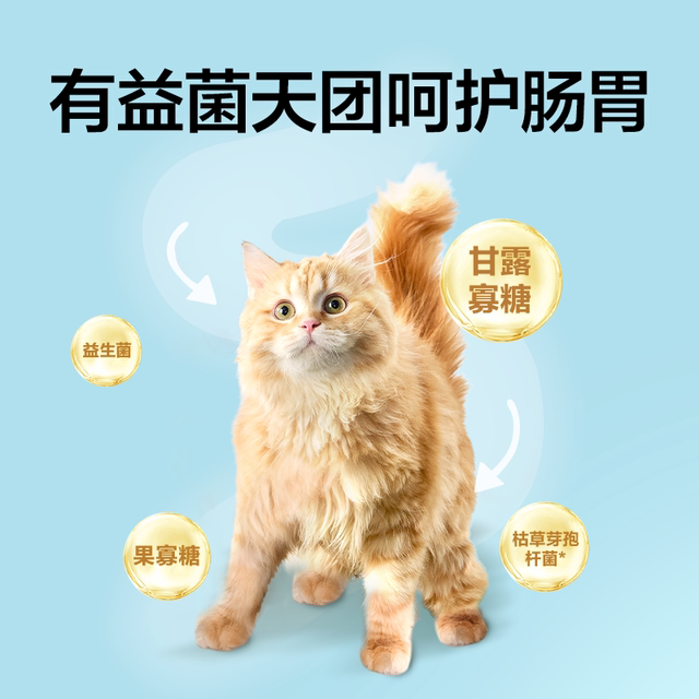 NetEase carefully selects pampering companion cat food for adult cats ...