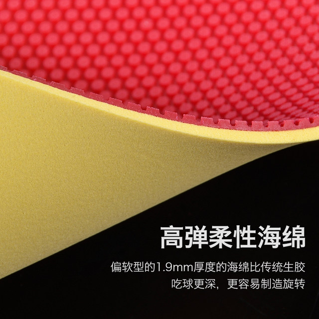 Steca STIGA Table Tennis Plazons Glipper Symmetry Symmetry Symmetric ...