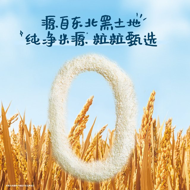 Jiabao High Iron Rice Noodles Baby Probiotics High Iron Vitamin C Baby ...