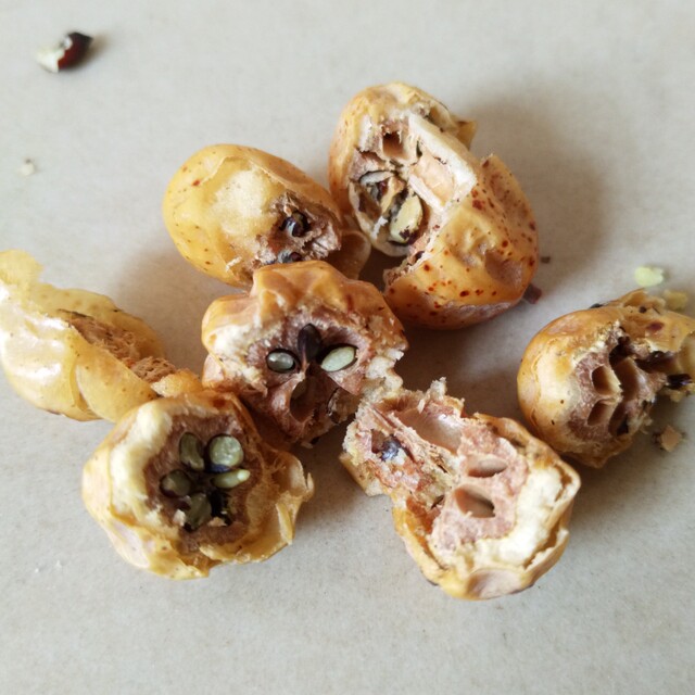 Wild neem seeds, golden bell seeds, and neem seeds can be paired with ...