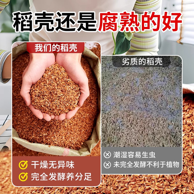 Rice husk fermentation and rotten rice husk rice husk charcoal ...