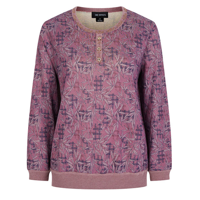 Xing's women's clothing, autumn round neck long-sleeved T-shirt for ...