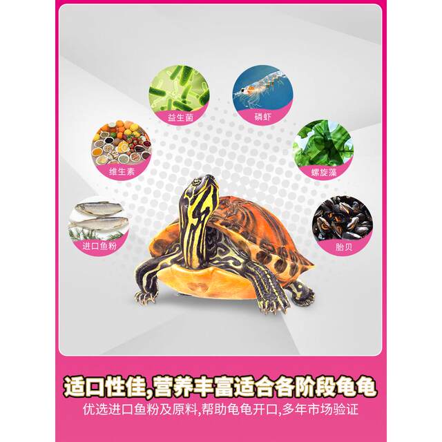 Cunjin turtle grain young turtle grain aquatic turtle half aquatic ...