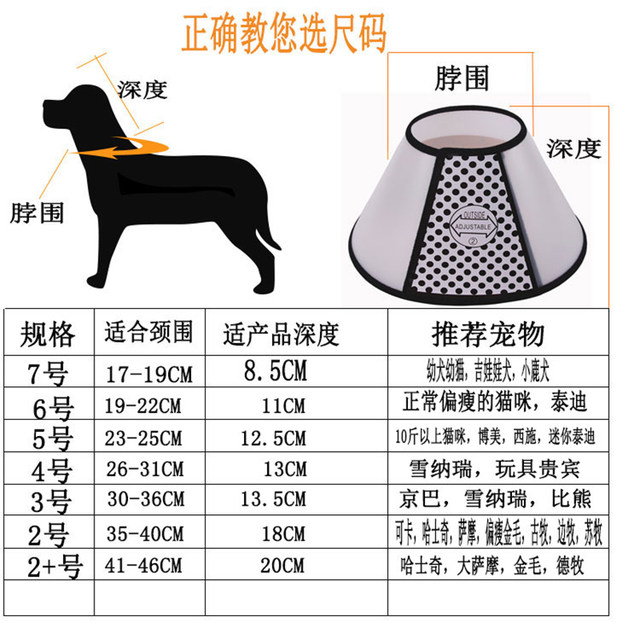 Elizabeth Circle Cat, Dog Dog Black Black Cosmetic Cat Cat Cat Holdings ...