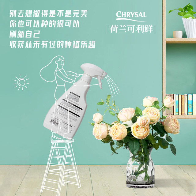 Imported from the Netherlands, Keli fresh flower locking agent florist ...