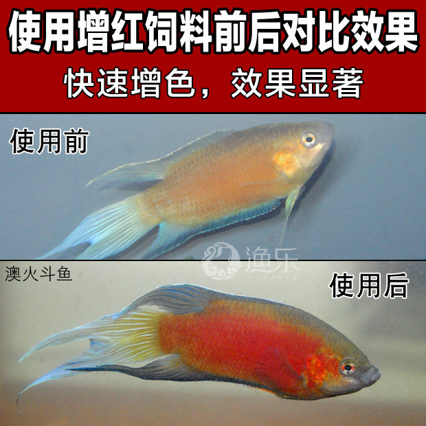 Douyu feed with red color and color high protein floating small ...
