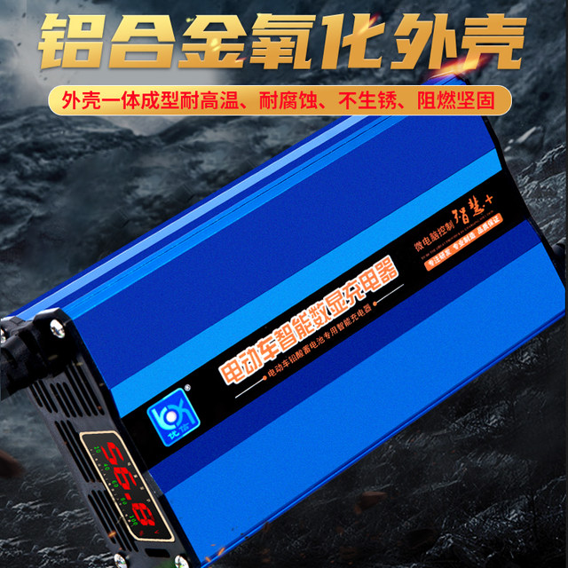 Graphene electric vehicle charger lead-acid battery 48V60V72V20AH32A ...