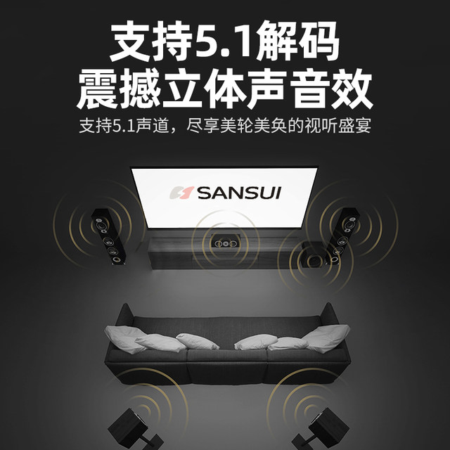 Shanshui DM-10A high-power amplifier professional fever-grade 5.1 ...