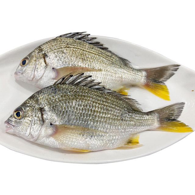 Yellow fin fish, yellow fin fish, fresh sea fishing, Chaoshan seafood ...