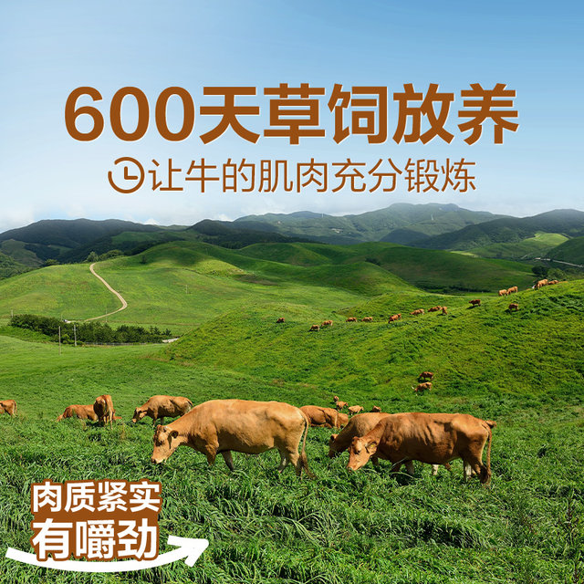 Liangpin Shop thumb hand tear air-dried beef jerky Inner Mongolia ...