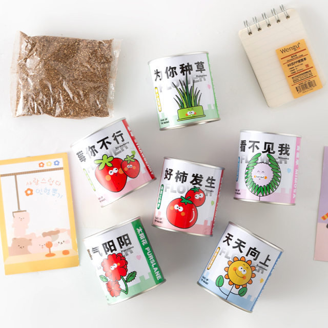 Planting canned mini DIY Internet celebrity planting small potted ...
