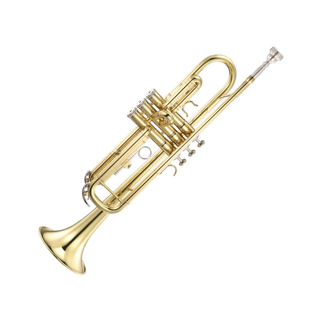 Xinbao trumpet brass trumpet junior high -school amateur small ...