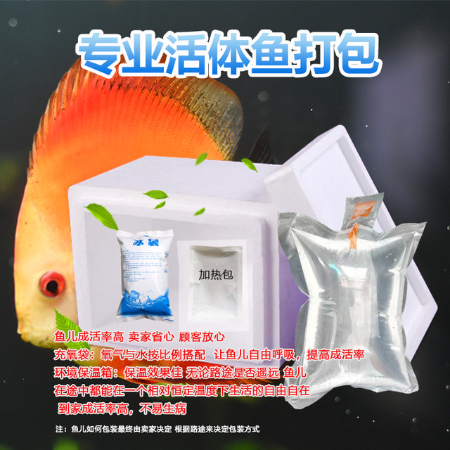 Cold water fish, white cloud goldfish, live small native fish, mild ...