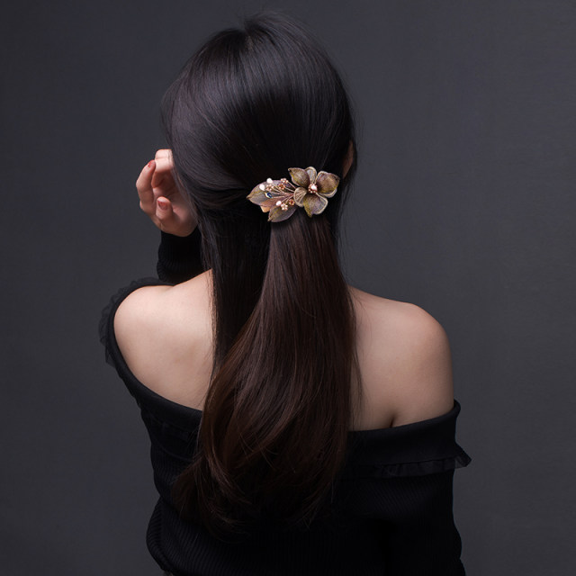 Hair clip back of the head mother hair clip female high-end hair clip ...