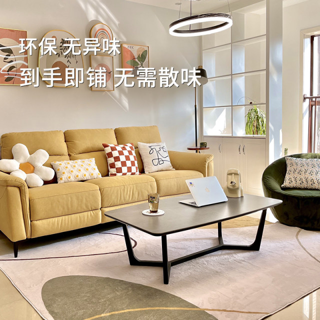Living room carpet Morandi high-end home simple sofa coffee table ...
