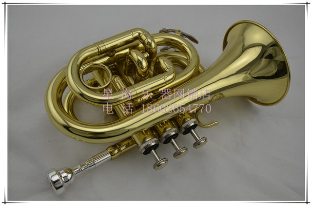 Palm instrument/pocket trumpet/palm number pocket trumpet small ...
