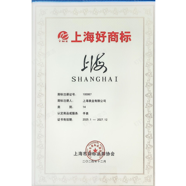 Shanghai Watch National 3080 Green Water Ghost Diving Waterproof ...