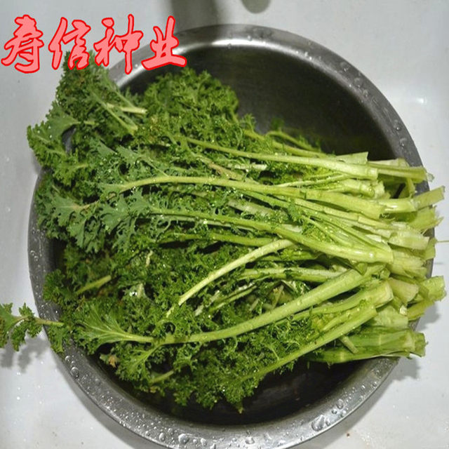 Flower, leaves, moss, vegetables, seeds, greens, potted plants. Now ...