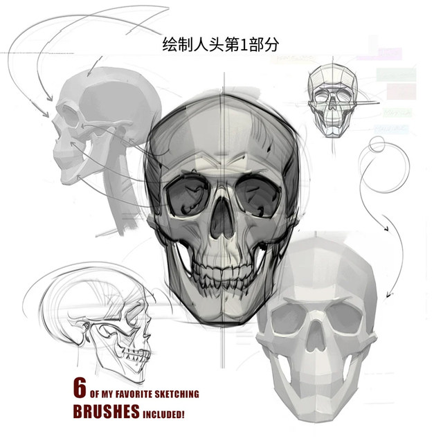Character sketching for dissection teaching men and women's human body ...
