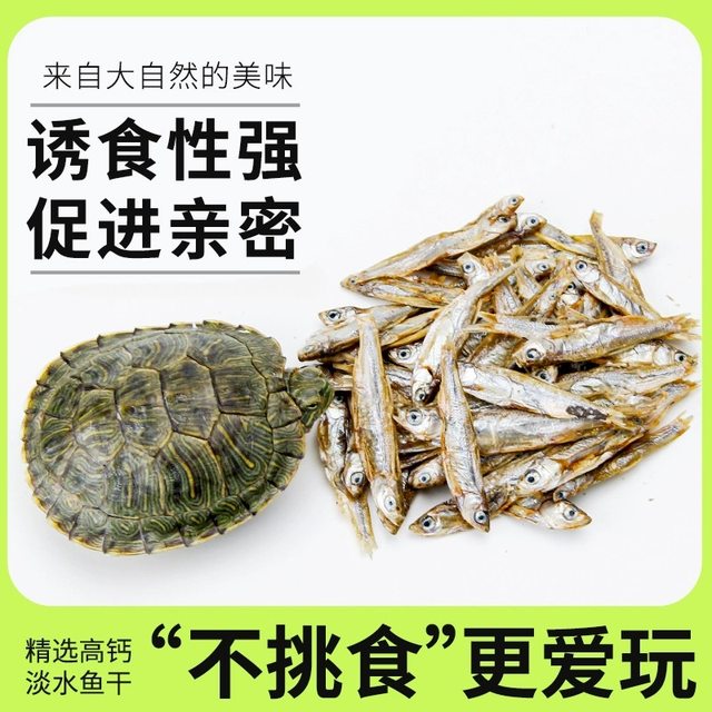 Little turtle feed universal turtle grain shrimp dried fish dry ...