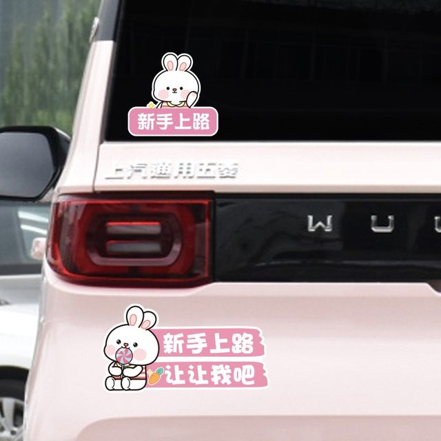 Internship car stickers for novice female drivers on the road magnetic ...